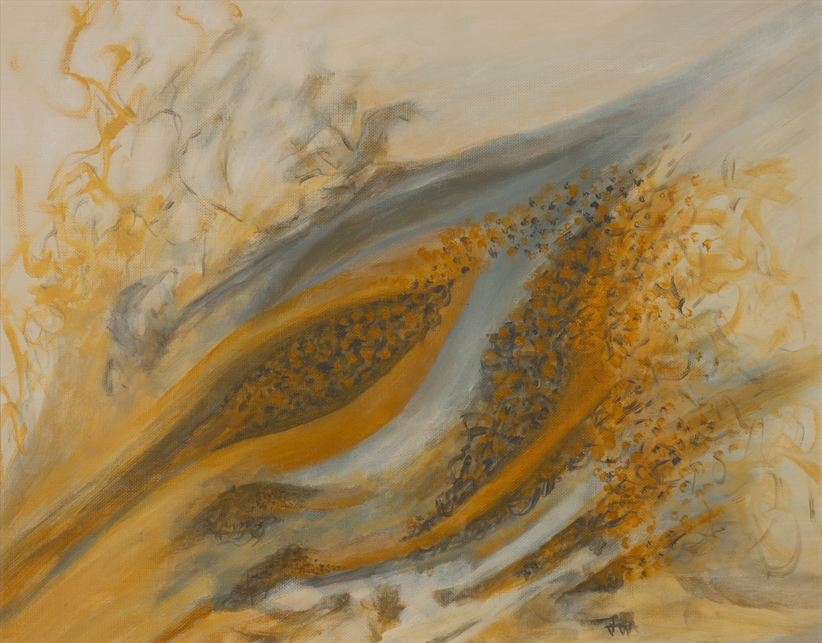 Images+Words - Rainforest Arts